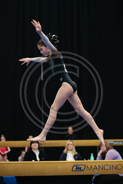 GymnasticsPhoto.com | Lilah S